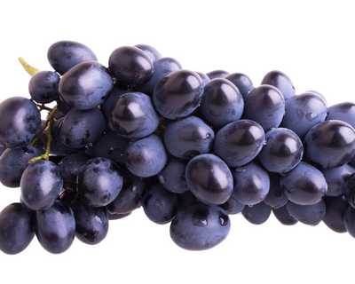 Mars Seedless Grape Vine | Natorp's Online Plant Store