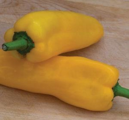 Big Daddy Hybrid Pepper | Natorp's Online Plant Store