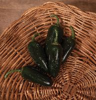 Black Magic Jalapeno Pepper | Natorp's Online Plant Store
