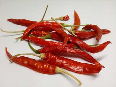 Kashmiri Chilli Pepper | Natorp's Online Plant Store