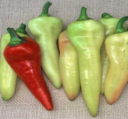 Sweet Banana Pepper | Natorp's Online Plant Store
