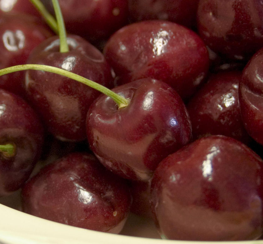 Bing Sweet Cherry | Natorp's Online Plant Store