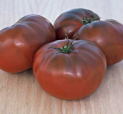 Brandywine True Black Tomato | Natorp's Online Plant Store
