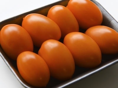 Vivacious Tomato | Natorp's Online Plant Store